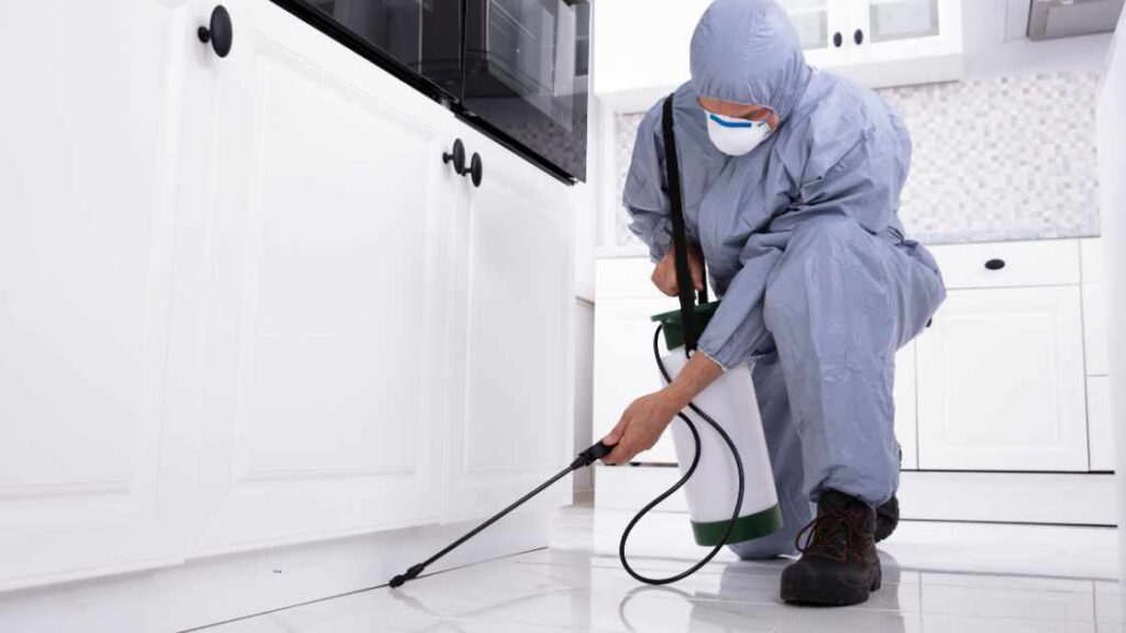 How to Get Rid of Cockroaches Without Pest Control: Effective DIY Methods